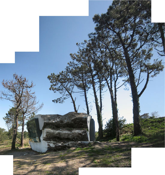 ensamble studio: the truffle