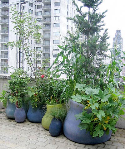 silicone planters