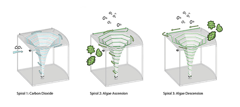 jie zhang and tyler stevermer architecturalize an algae photobioreactor