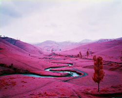 richard mosse: the enclave at venice art biennale 2013