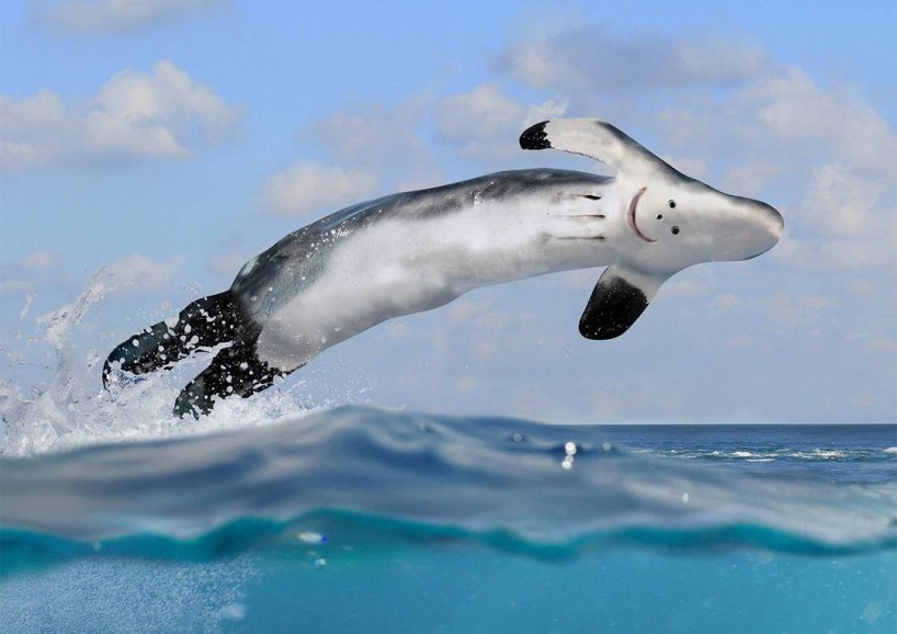 artist turns 6-year-old son's doodles into absurd animals