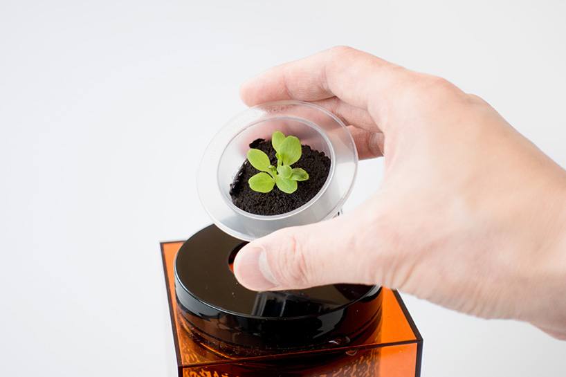 the spacepot hydroponic planter brings NASA grade farming to your kitchen