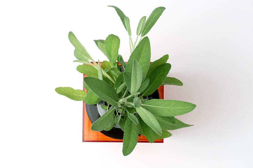 the spacepot hydroponic planter brings NASA grade farming to your kitchen