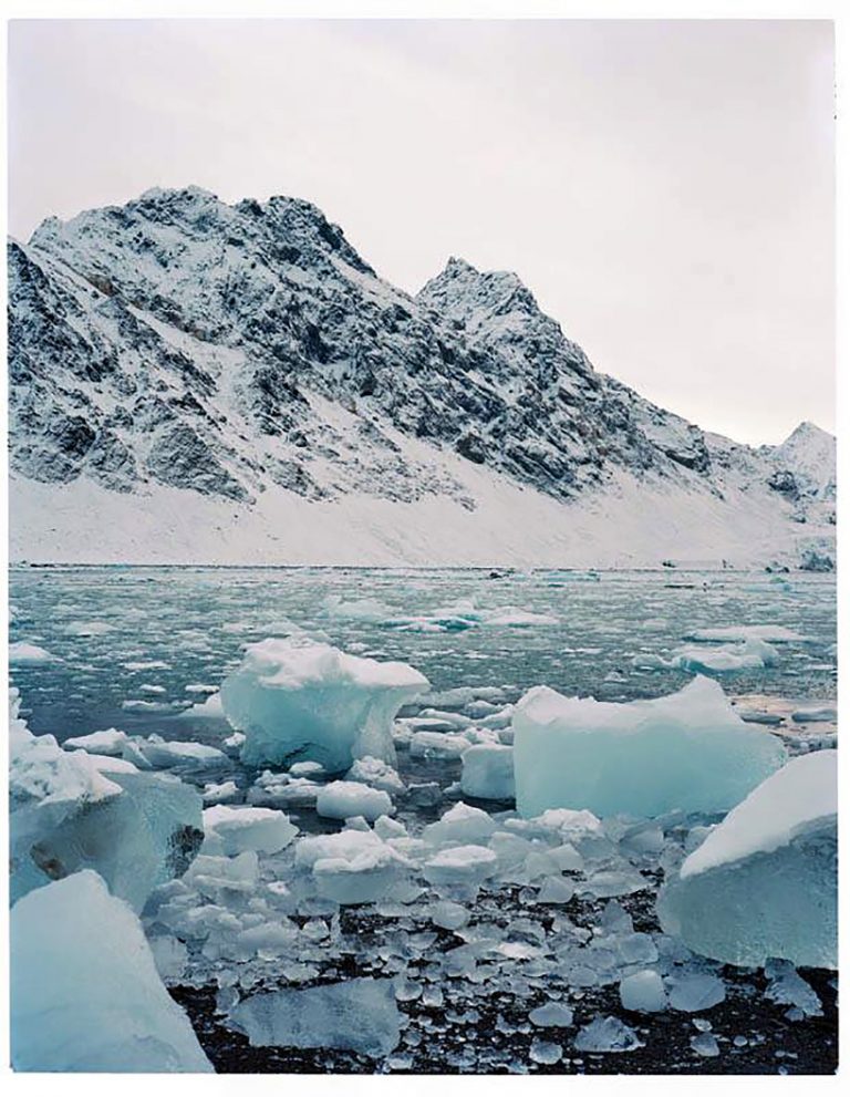 the intrepid large format camera is lightweight and collapsable for off ...