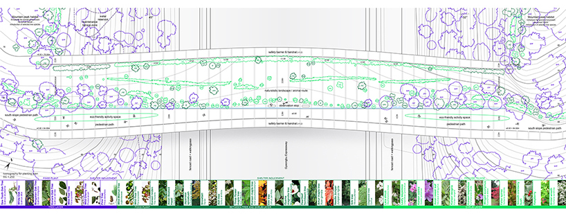yangjaegogae eco bridge winners propose a harmonious link between urban ...