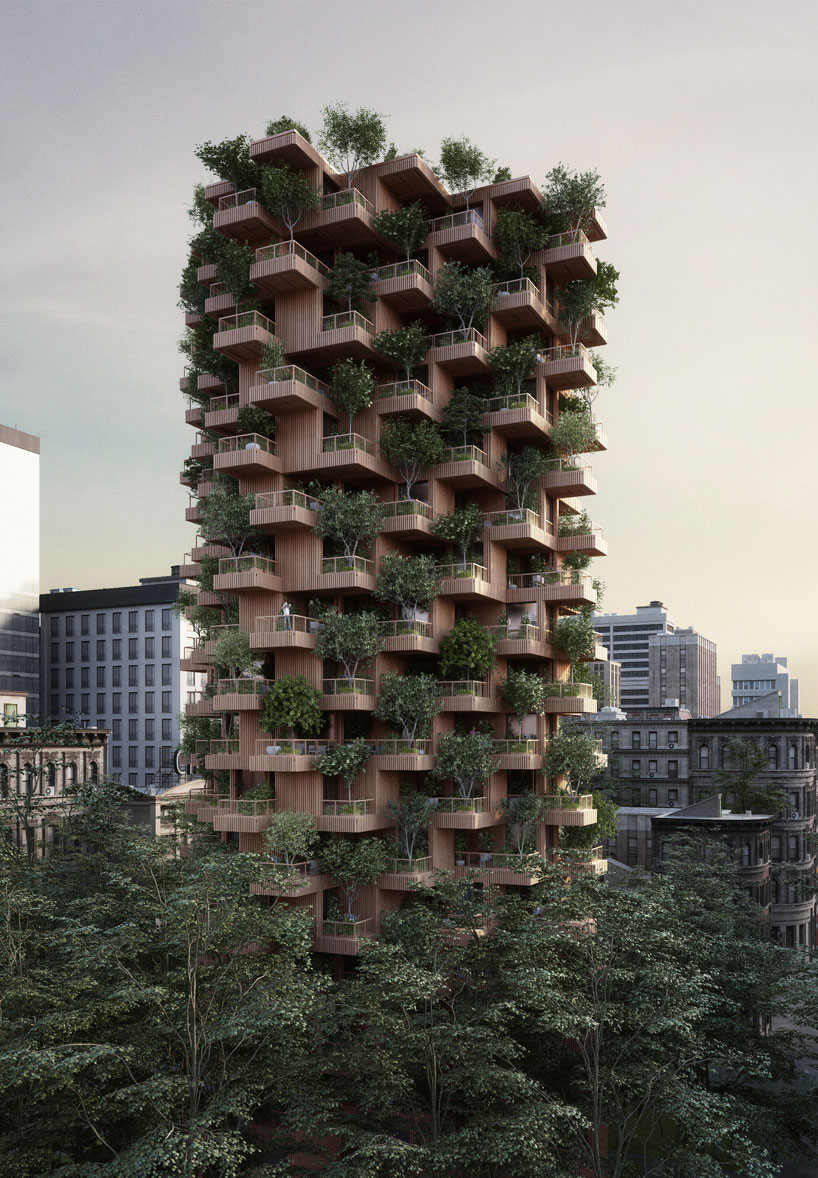 penda + tmber proposal for a timber tower bridges the gap between ...