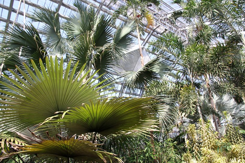 françois perrin builds 'air houses' for chicago architecture biennial