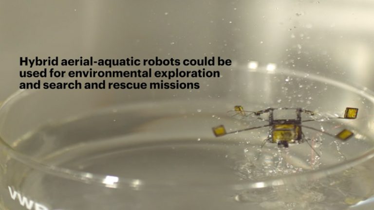 harvard's robobee has two wing-flapping speeds in air and out of water