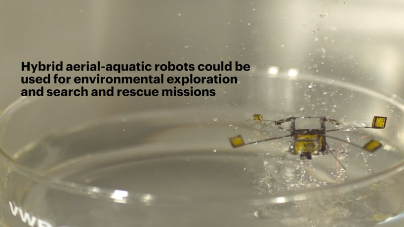 harvard's robobee has two wing-flapping speeds in air and out of water
