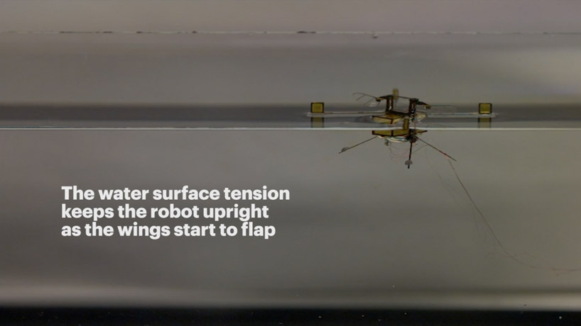 harvard's robobee has two wing-flapping speeds in air and out of water