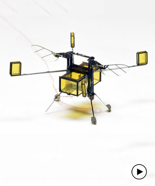harvard's robobee has two wing-flapping speeds in air and out of water