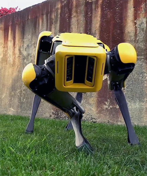boston dynamics' spot mini is a clever robotic canine