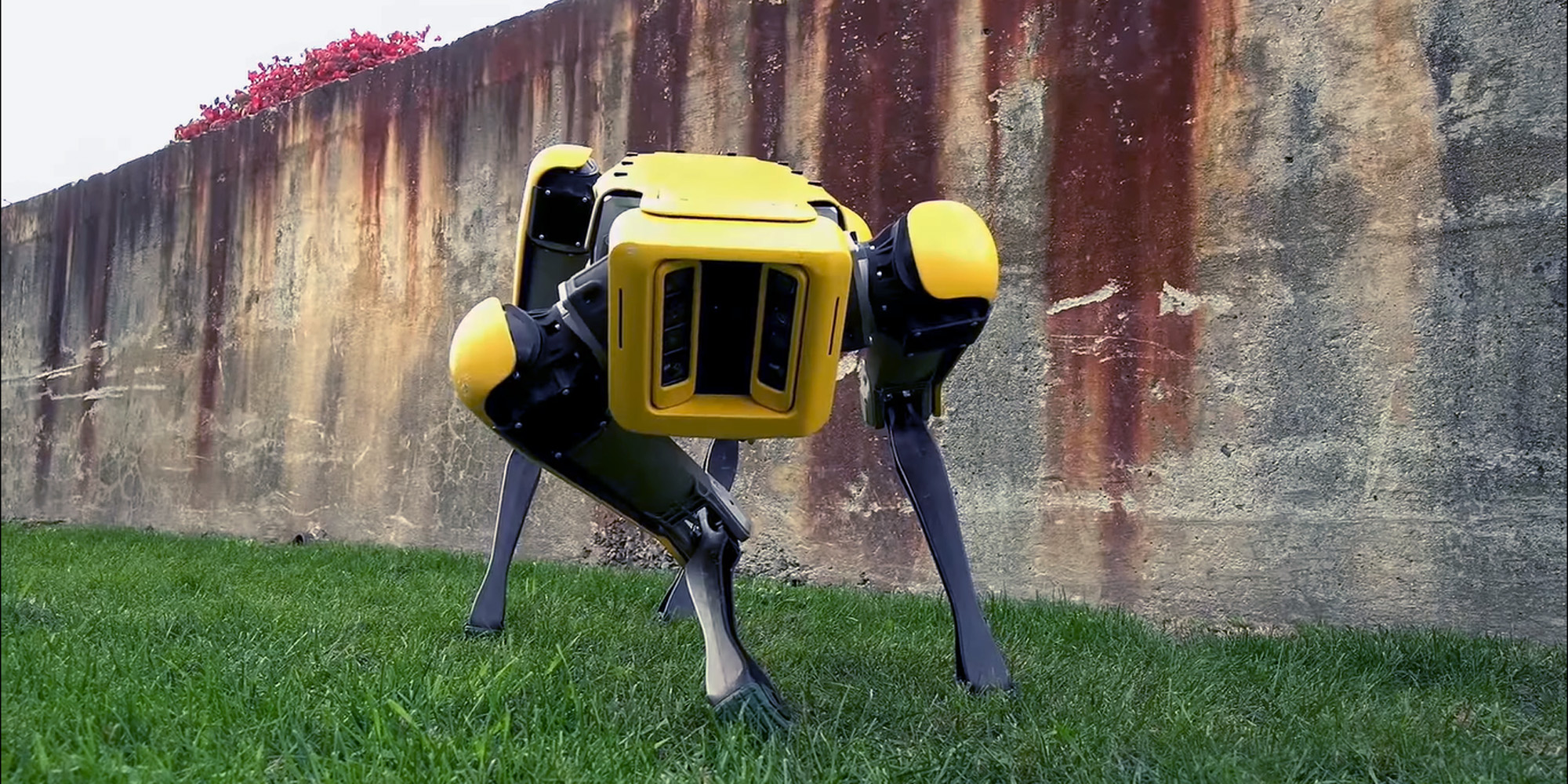 boston dynamics' spot mini is a clever robotic canine