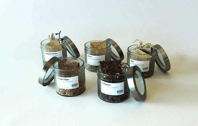 world's first biological house built from farming waste opens in denmark