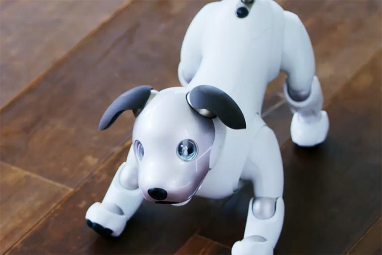 sony’s new chocolate aibo will act as watchdog over your home