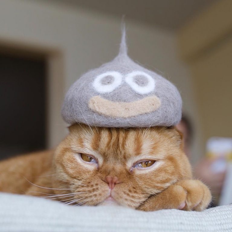these 100% cat hair cat hats by ryo yamazaki are going viral
