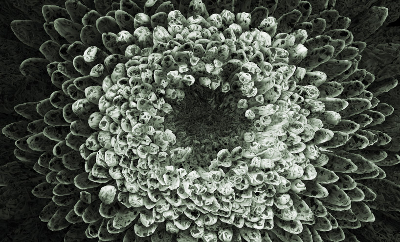 angelo musco creates heavenly flowers for the mythic aaru garden