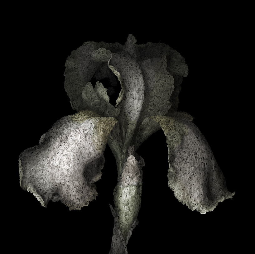 angelo musco creates heavenly flowers for the mythic aaru garden