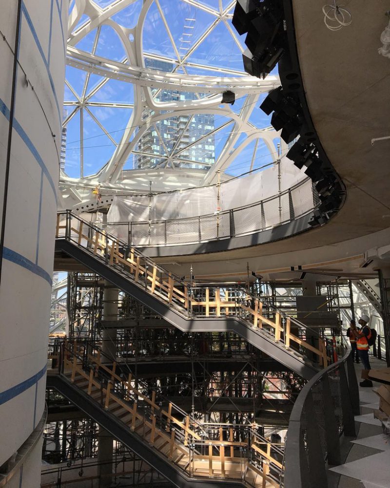 amazon spheres, the mini rainforest campus in seattle by NBBJ