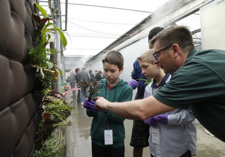 amazon spheres, the mini rainforest campus in seattle by NBBJ
