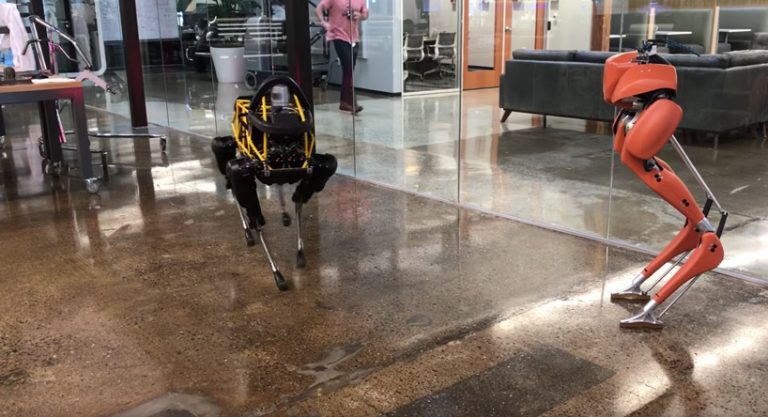 cassie the ostrich-inspired bipedal robot invites robotic dog to dance