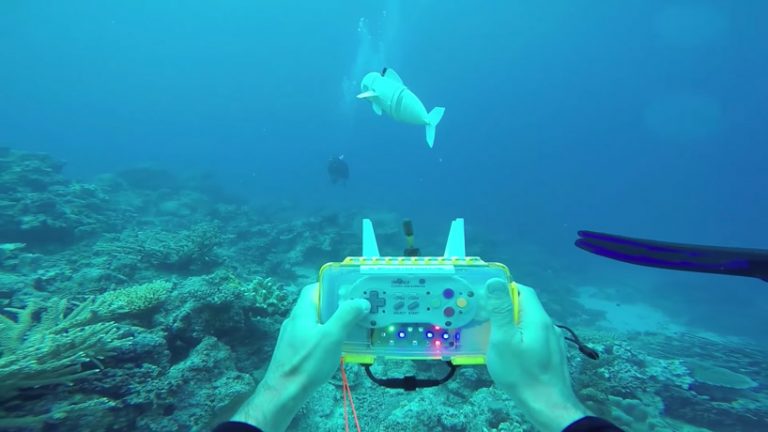 MIT researcher's robotic fish is an impressively realistic spy on ...