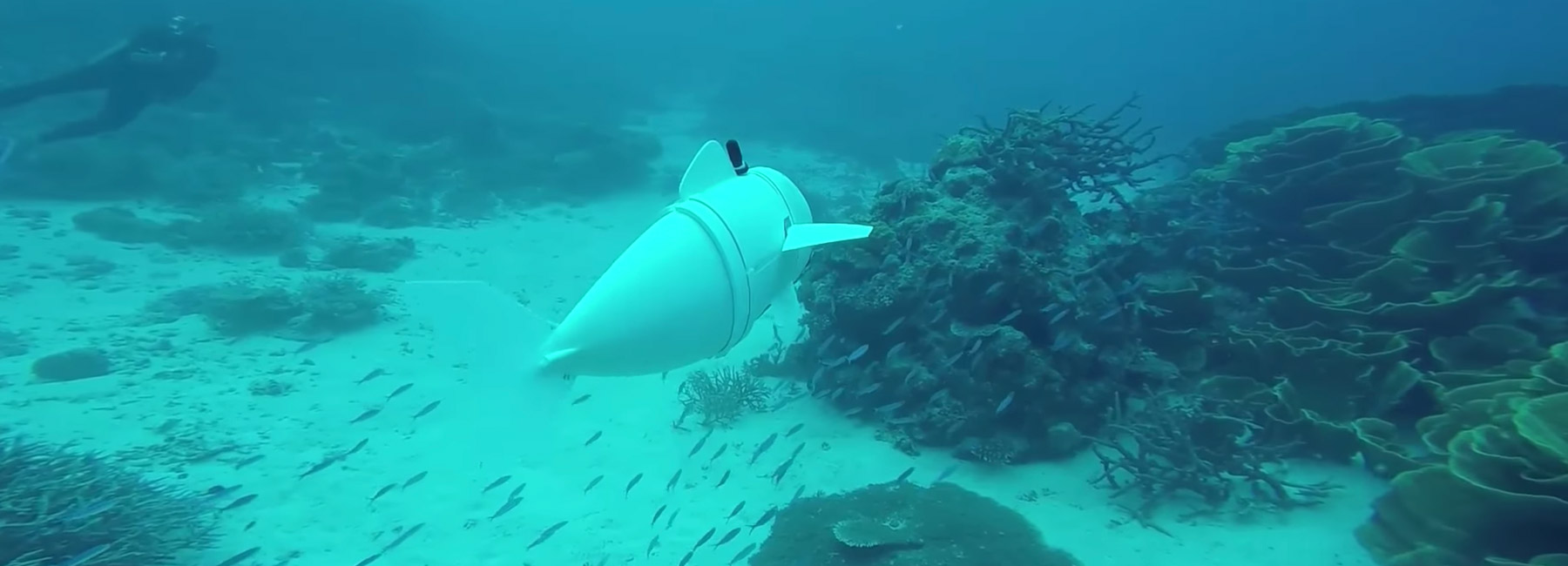 MIT researcher's robotic fish is an impressively realistic spy on ...