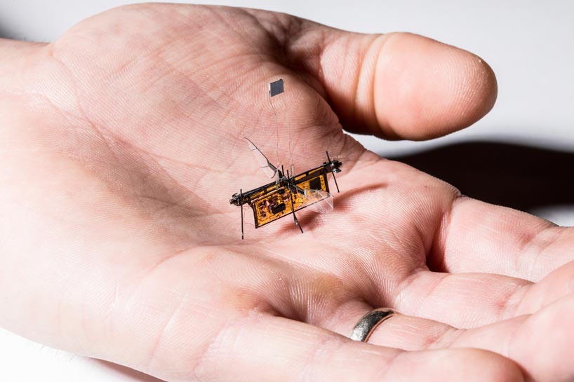 the first wireless flying robotic insect takes off powered by laser beams