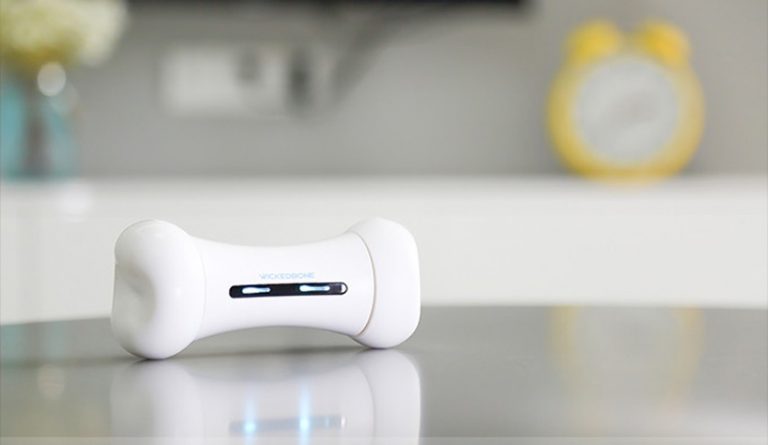 wickedbone is the smart dog toy to cure your puppy's anxiety