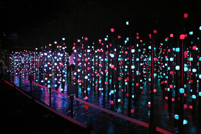 borderless and brilliant: teamlab's dreamlike digital art museum is now ...