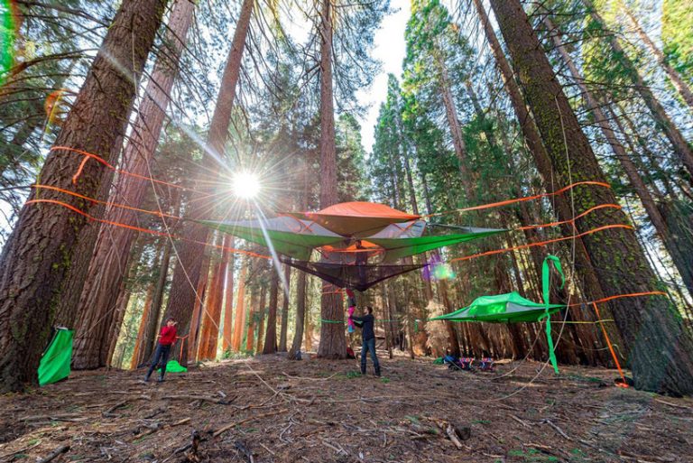 the world's first three-element tent by tentsile conquers land, sea ...