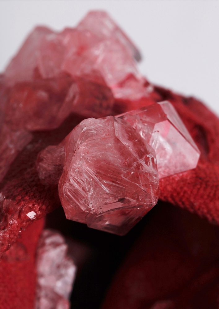 alice potts uses sweat to engineer new biological accessories