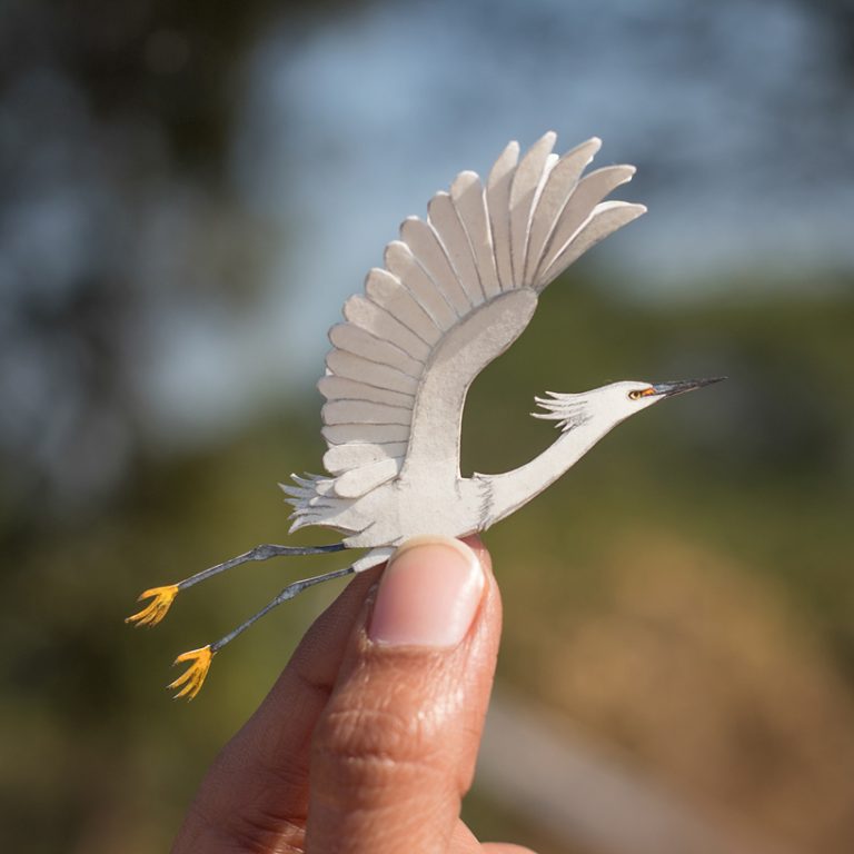 artists embark on 365 day series of intricately paper cut miniature birds