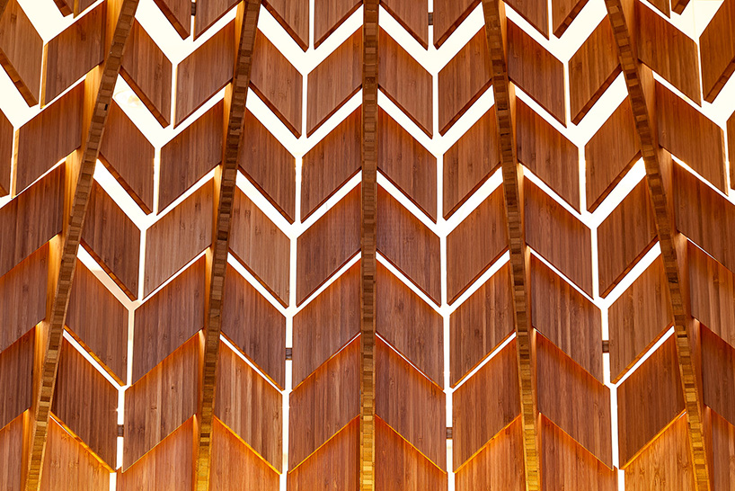 daewha kang design's experimental workspace combines biophilic ...