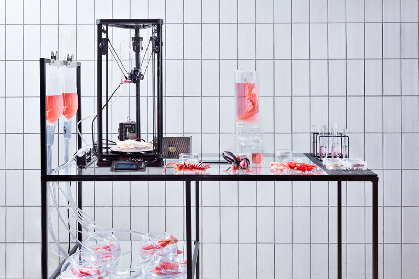 kuang-yi ku creates artificial animal parts to replace real ones in ...