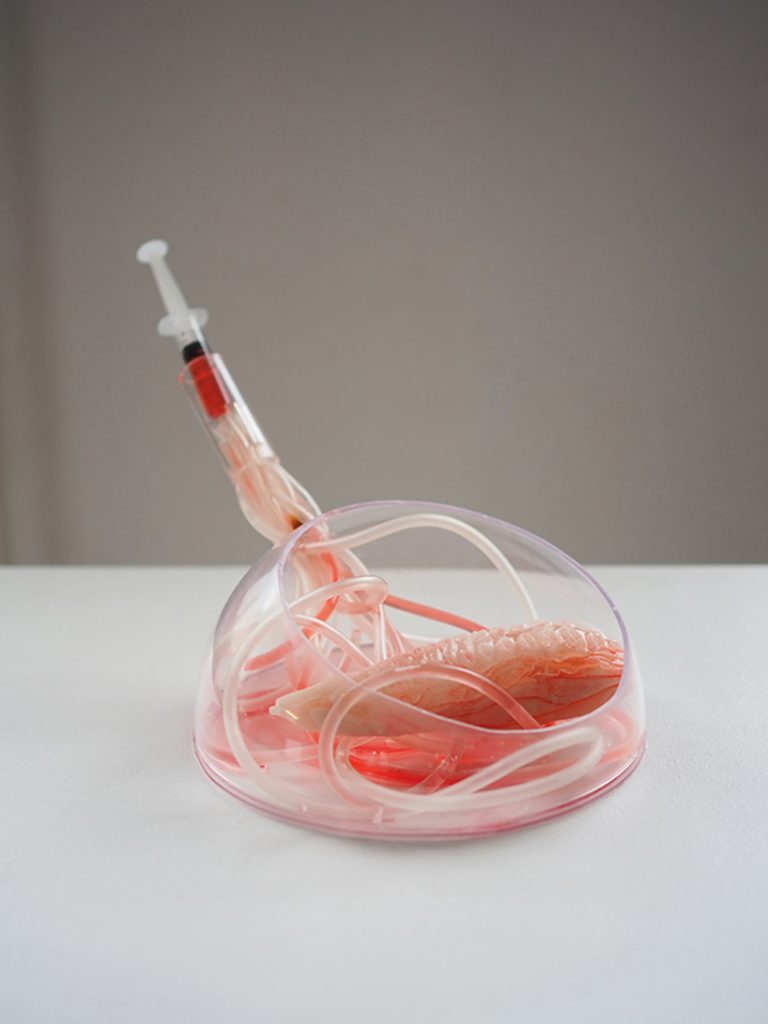 kuang-yi ku creates artificial animal parts to replace real ones in ...