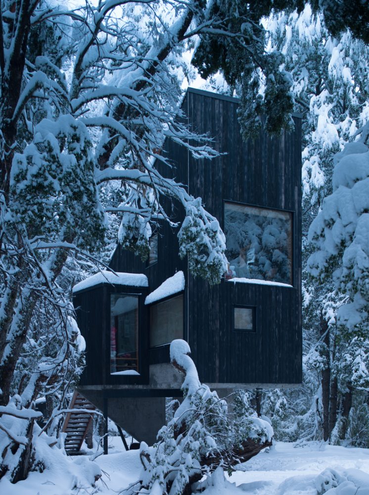 DRAA nestles a charred timber cabin in the woodlands of chile