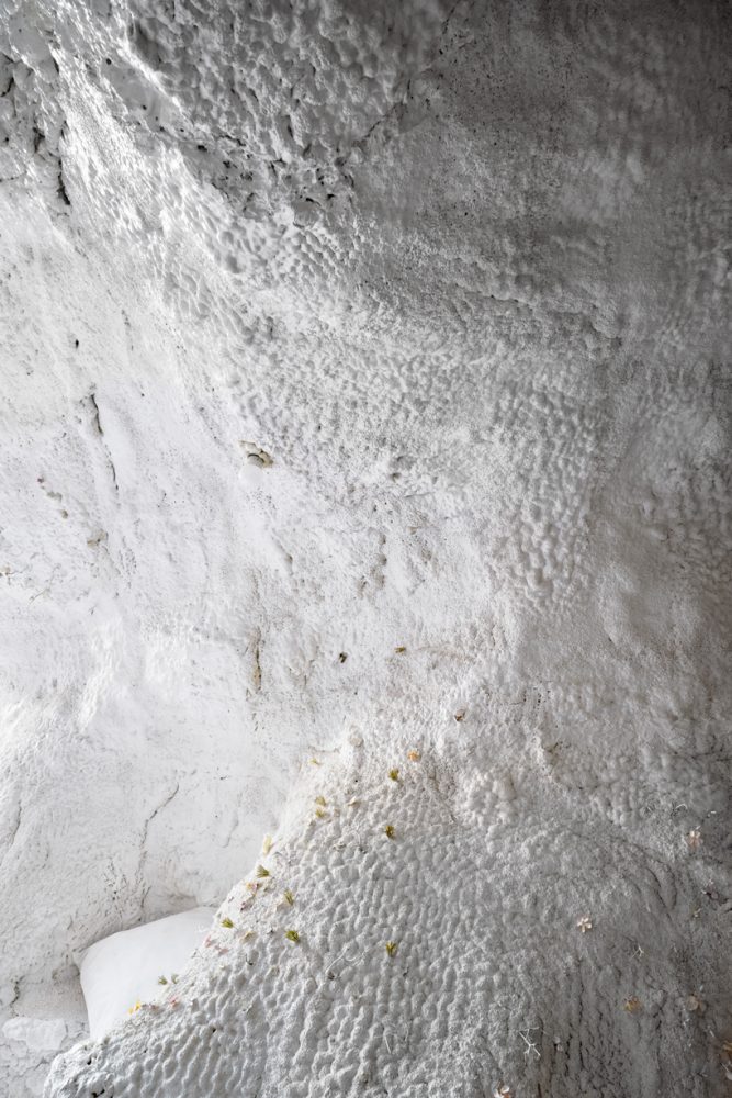 TAKK architects presents cavernous grotto interior in madrid