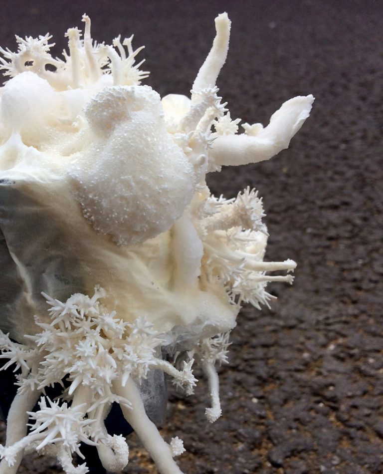 nir meiri shapes fungi into mycelium lights lamp collection