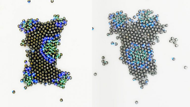 bio-inspired swarm robots form structures without instruction