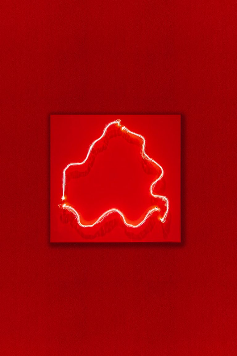 studio swine explores an artistic harnessing of nature at A/D/O, the ...