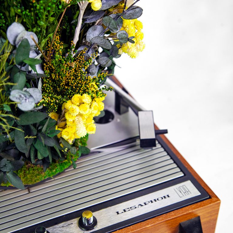 four turntables spinning botanical worlds make us wonder what plants ...