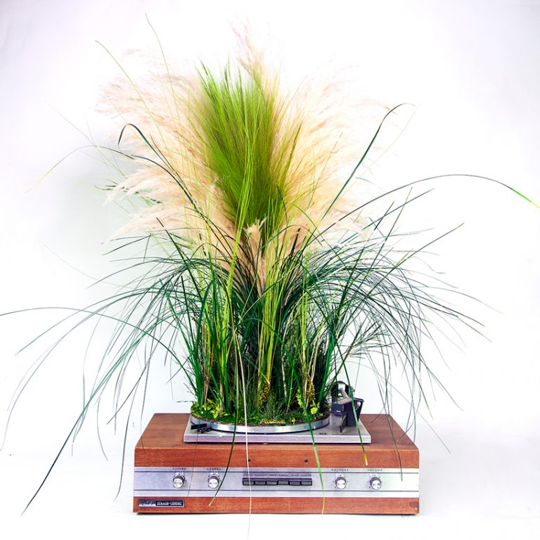 four turntables spinning botanical worlds make us wonder what plants ...