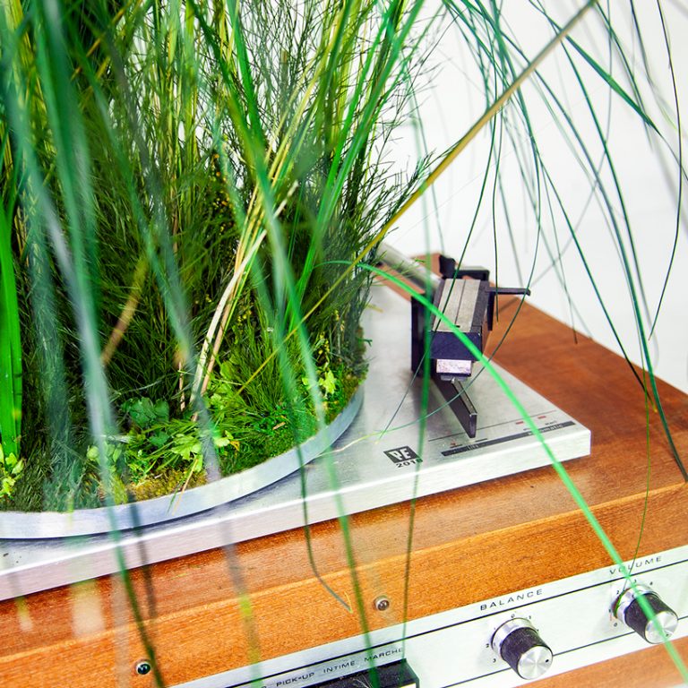 four turntables spinning botanical worlds make us wonder what plants ...