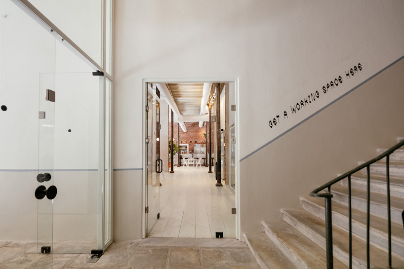 eccentric rooster stars in beetroot identity for greek space ypsilon