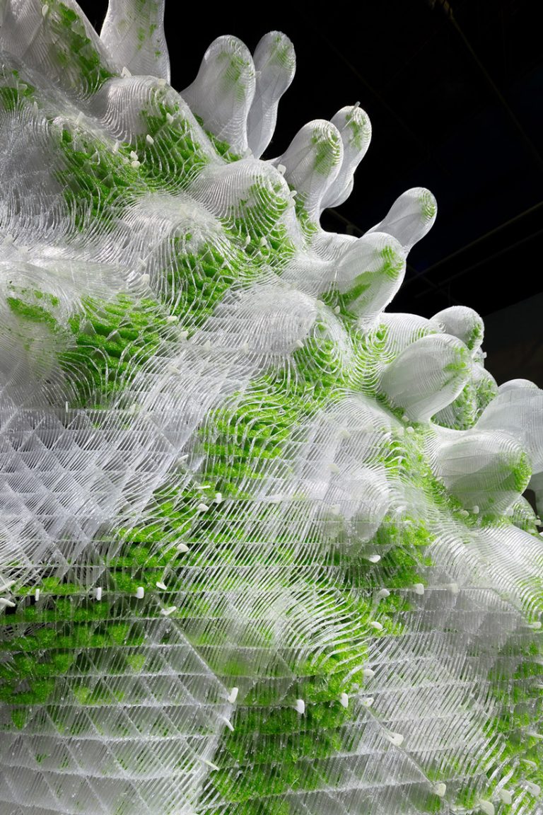 bio-digital sculptures are presented at centre pompidou in paris