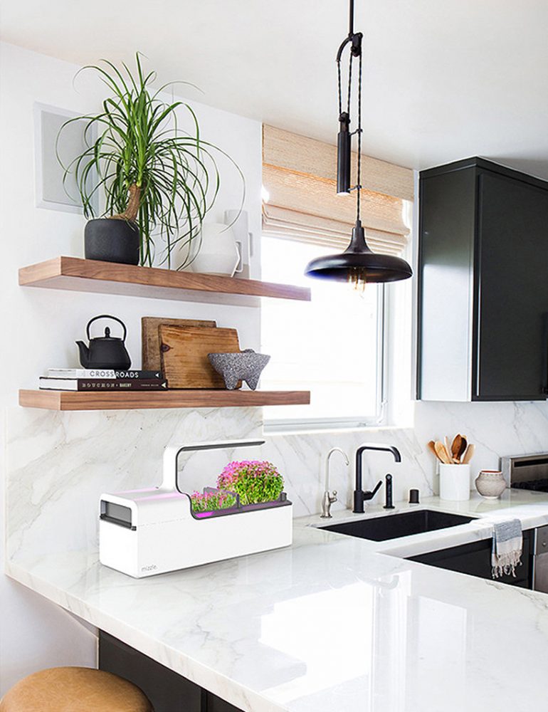 the mizzle microgreen grower puts fresh produce in any kitchen