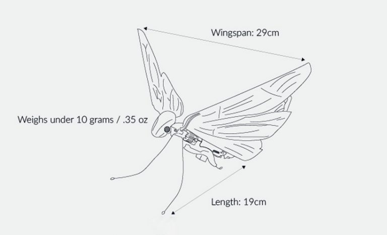 the metafly robotic insect uses biomimetics to mimic the real thing