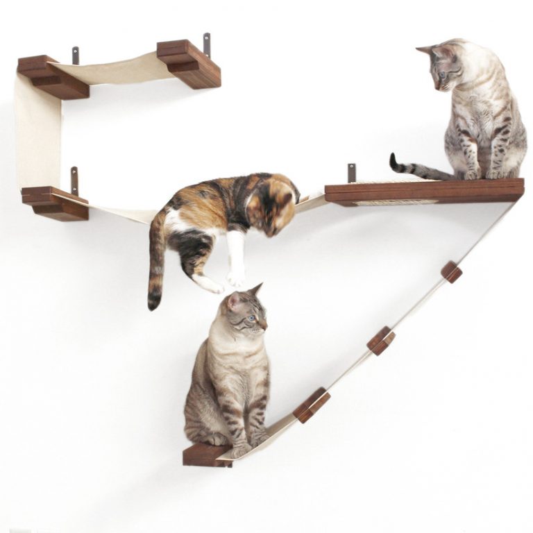 minimalist modular systems transform walls into cat playgrounds