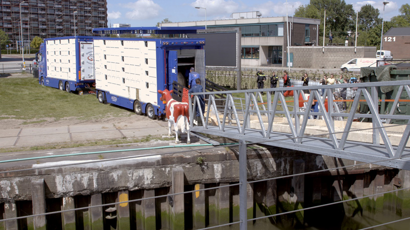 world’s first floating farm welcomes cows in rotterdam